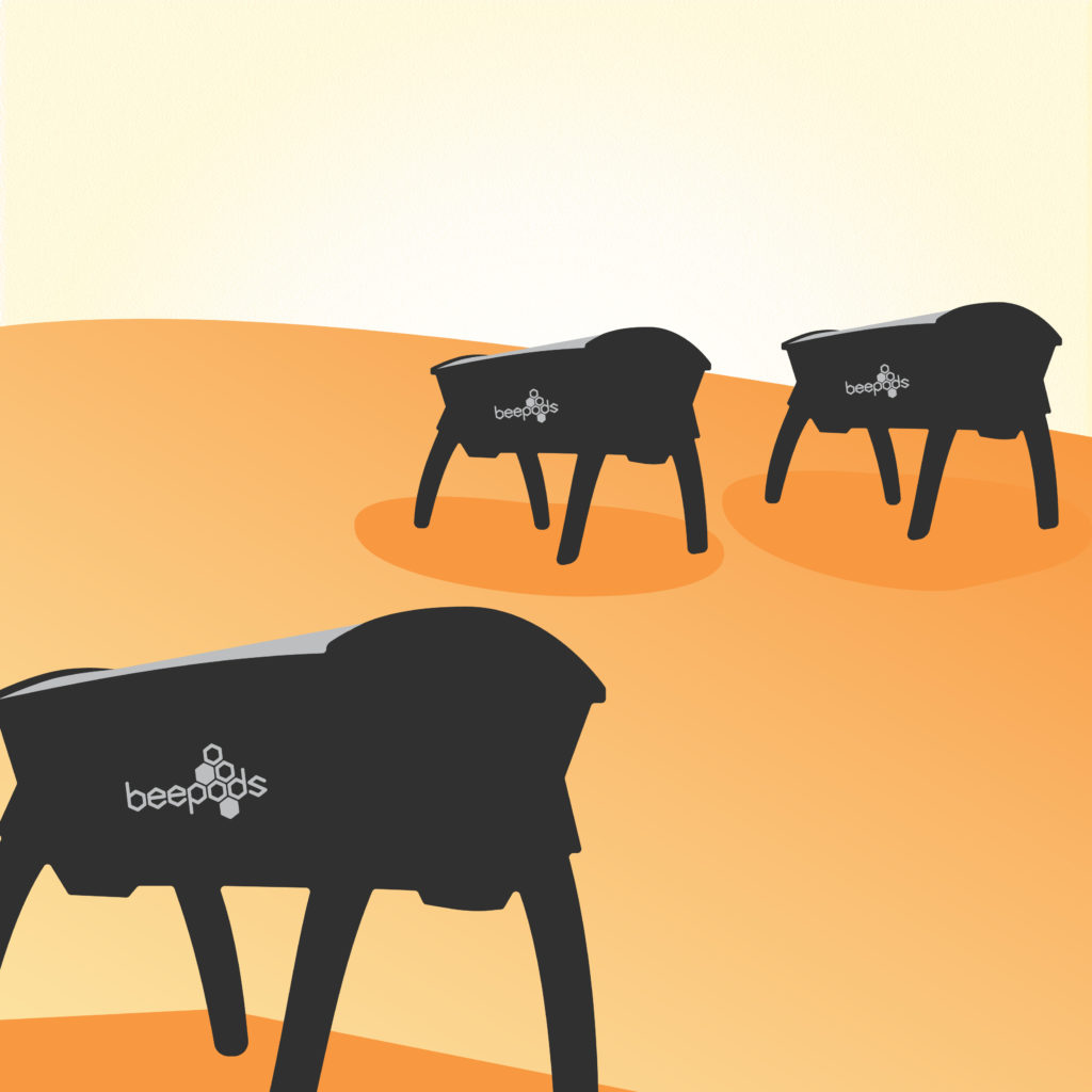 The Bee Yard Setup and Siting Blueprint