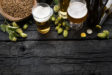 Hops and Bees: A Lucky Combo