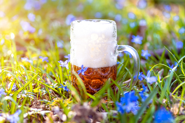 Hops and Bees: A Lucky Combo