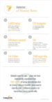 7 Fun Honey Bee Stats to Share with Your Friends (Infographic)