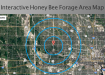 Interactive Honey Bee Forage Map