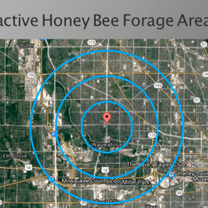 Interactive Honey Bee Forage Map
