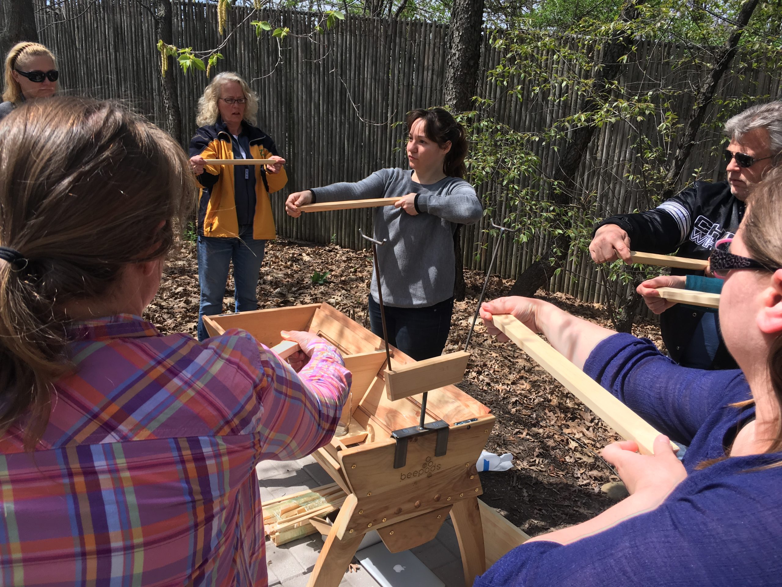 5 Common Misconceptions Most First Time Beekeepers Follow That YOU ...