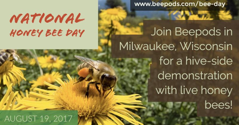 National Honey Bee Day at the Milwaukee County Zoo - August 19, 2017